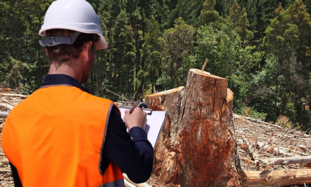 Curso Plataforma Trabalho Aéreo - PTA | Treinamento | EAD | Presencial